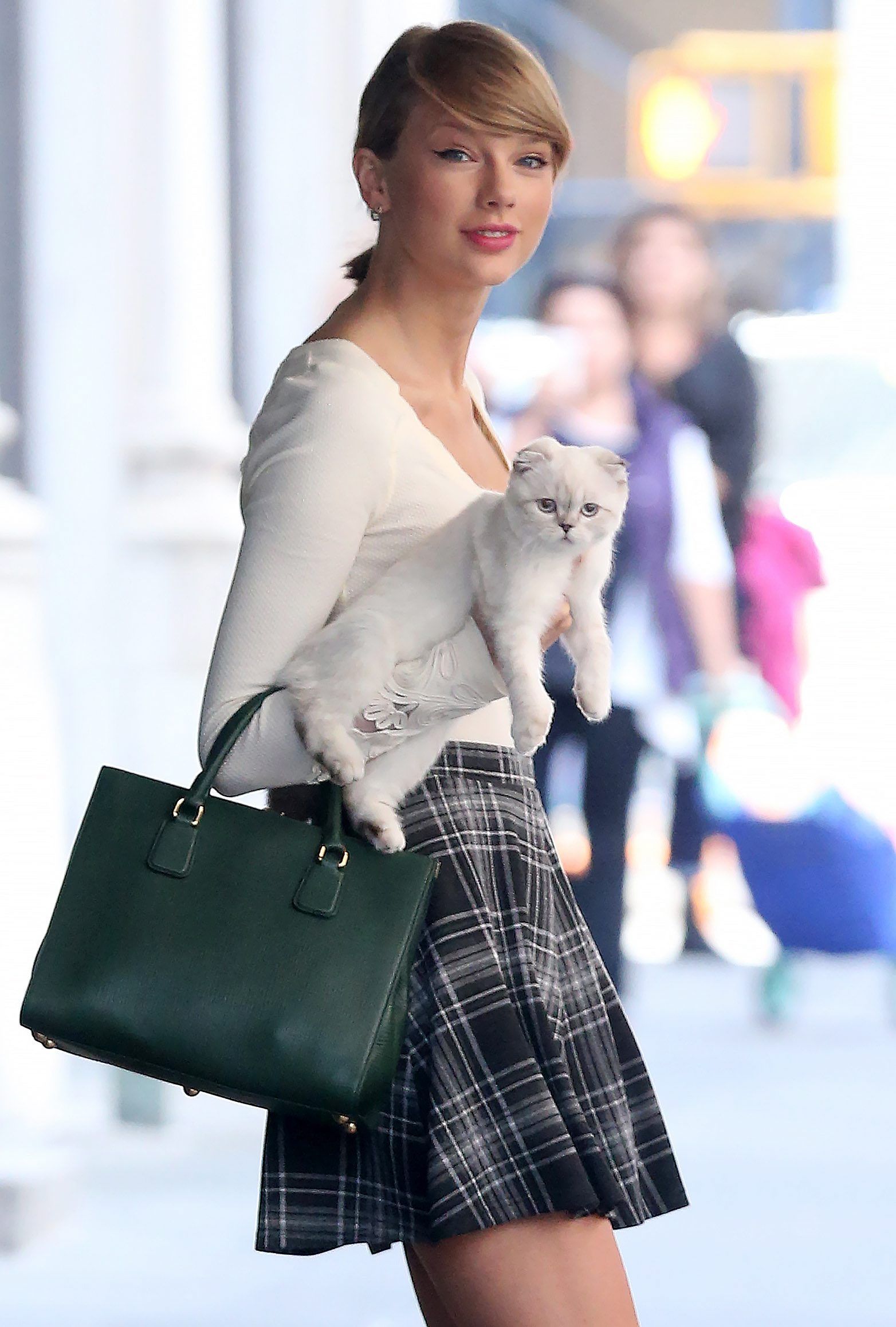 Cute Alert: Taylor Swift's 15 Most Adorable Cat Photos - Fame10