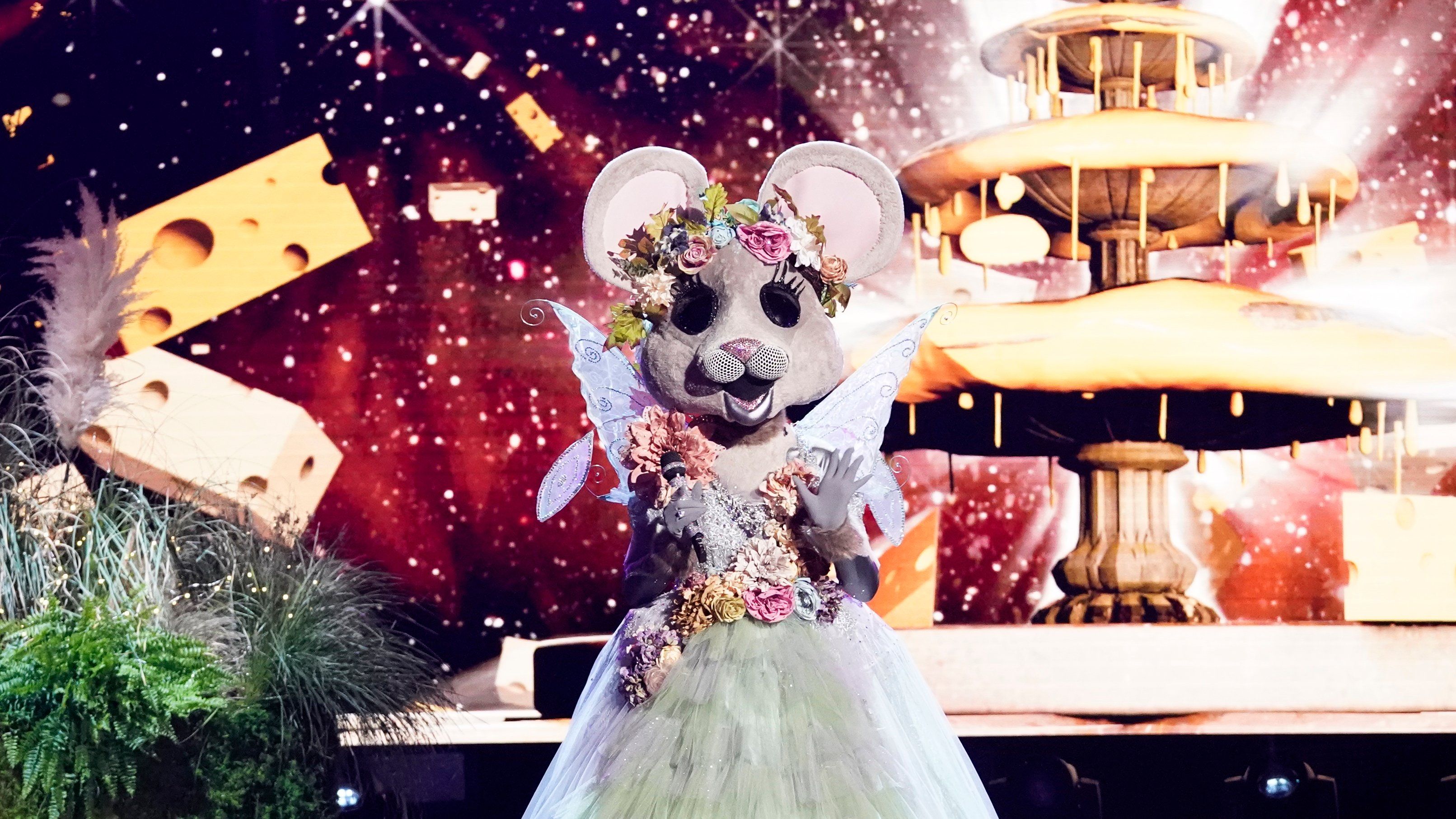 'The Masked Singer' Reveals Celebrity Behind Mouse - Fame10